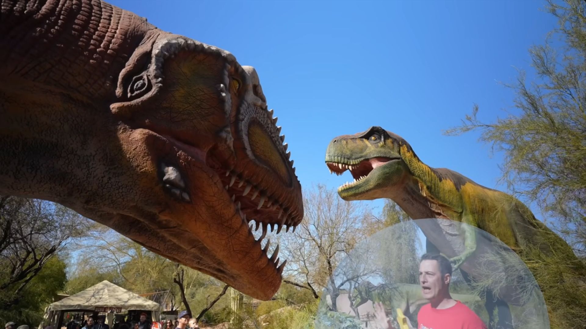 мультики  ДИНОЗАВРЫ Охота на гигантозавра  | Развивающие видео для детей