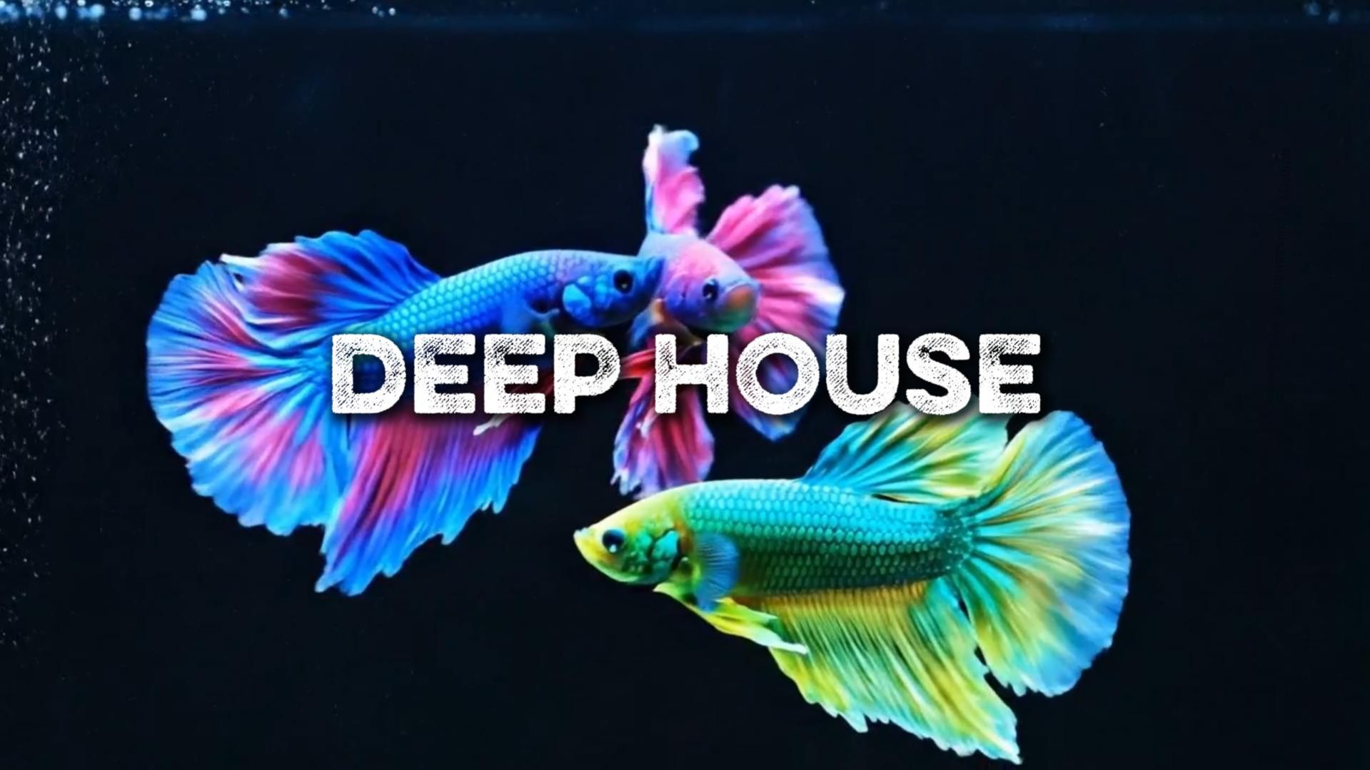 Музыка в Машину 2026 🚘 | Deep House Микс | музыка для фона