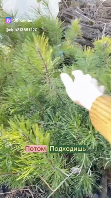 Поделитесь своим мнением.♥️