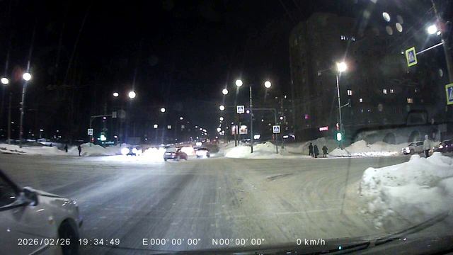 Животное за рулём