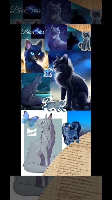 Эдит Синей Звезде