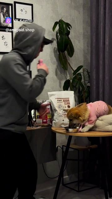 Наши покупатели радуют нас своими видео