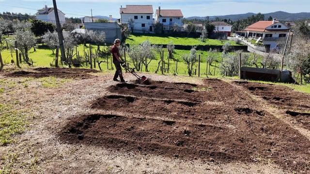 Огород с нуля в Португалии- неделю назад тут лежал вековой дуб _ Дом в Португалии. Выпуск 56