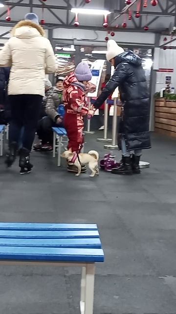 Девочка с собачкой