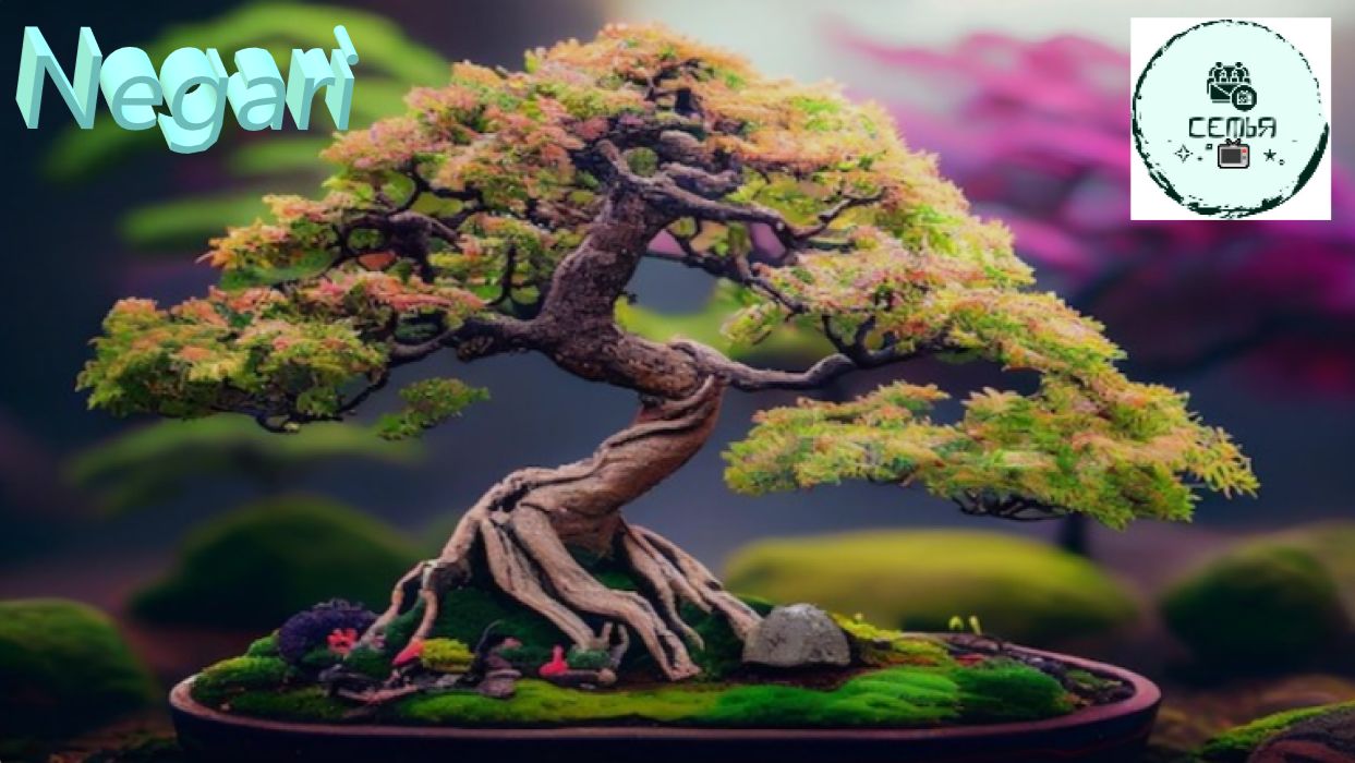 СТИЛЬ БОНСАЙ НЕАГАРИ Negari - оголённые корни
