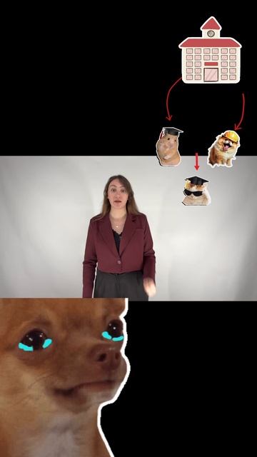 Ошибки в выборе профессии 4 часть