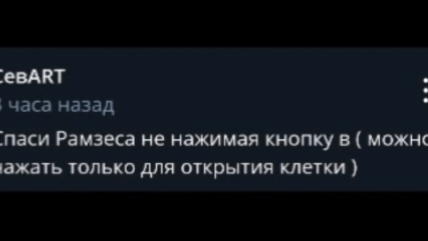 Челлендж в супер беар адвинчер