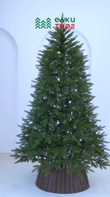 Обзор на искусственную ель "Сахалинская" из 100% литой хвои, ЕлкиТорг