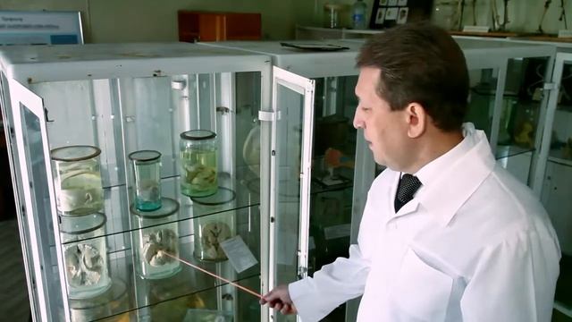 «Правда о наркотиках», 2012, документальный фильм