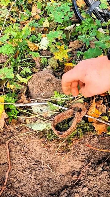 Покопаем немного