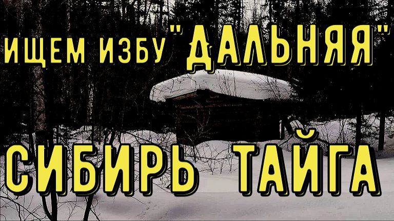 Привада медведю, объезд угодий, поиски избушки и кормушка для копытных.