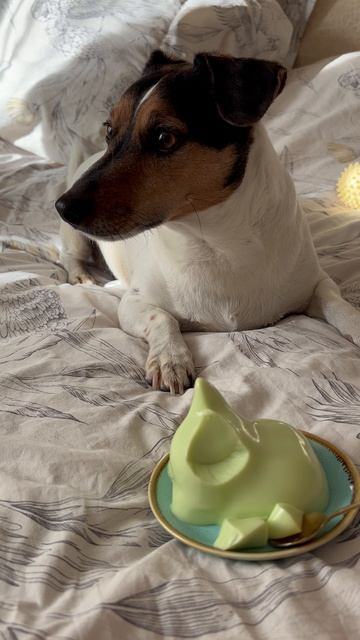 Попа или голова? Дегустируем