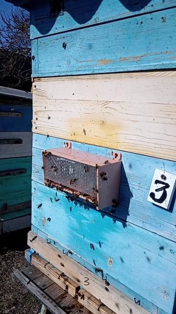 Вот и дождались наконец-то