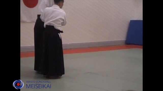 6.Aikido Ushirowaza Sankyo Shishiya Sensei Sandviken 2007