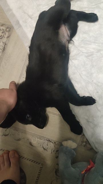 Маленький будующий рыбак