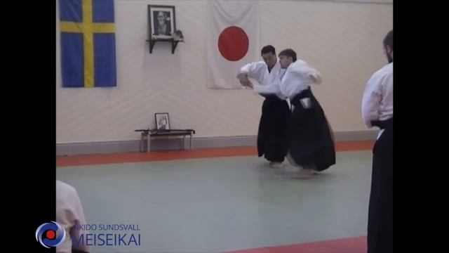2.Aikido Ushirowaza Shihonage Shishiya Sensei Sandviken 2007