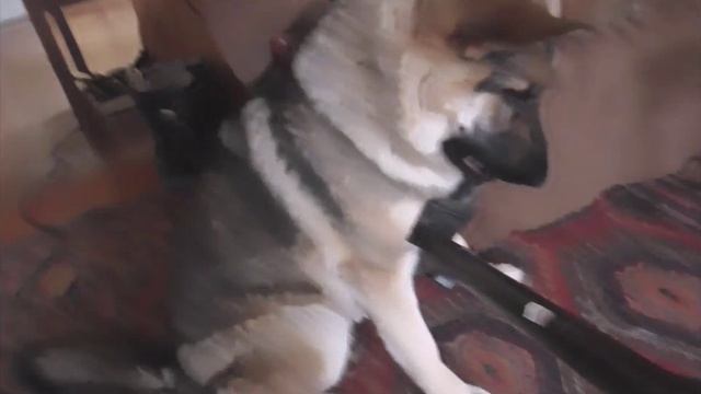 Мой фильм  В первую очередь уборка, а потом всё остальное!