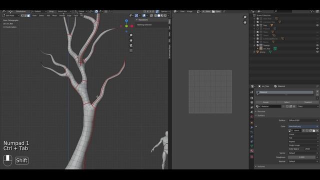 02 Asset Creation P1_Fluffy Trees