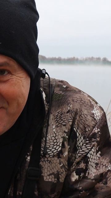 Рыба Дракон