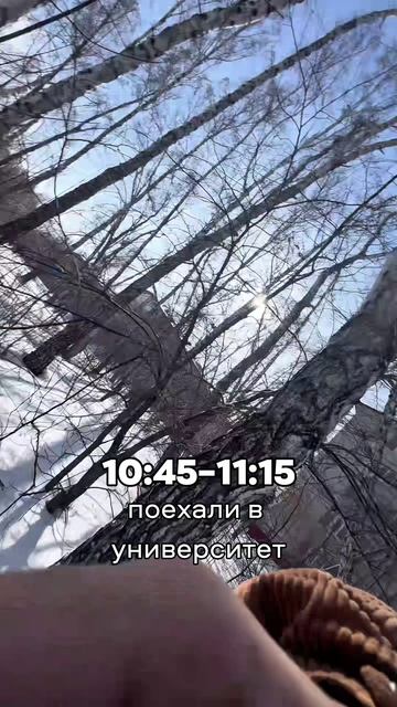 Один день студента факультета информационных технологий и компьютереых систем