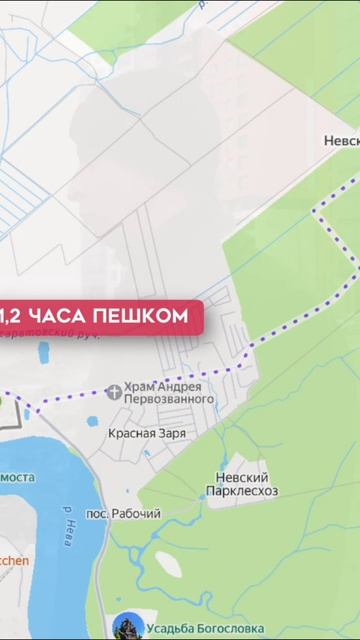 РЕАЛЬНО ТАК живут в Новосаратовке СПб..