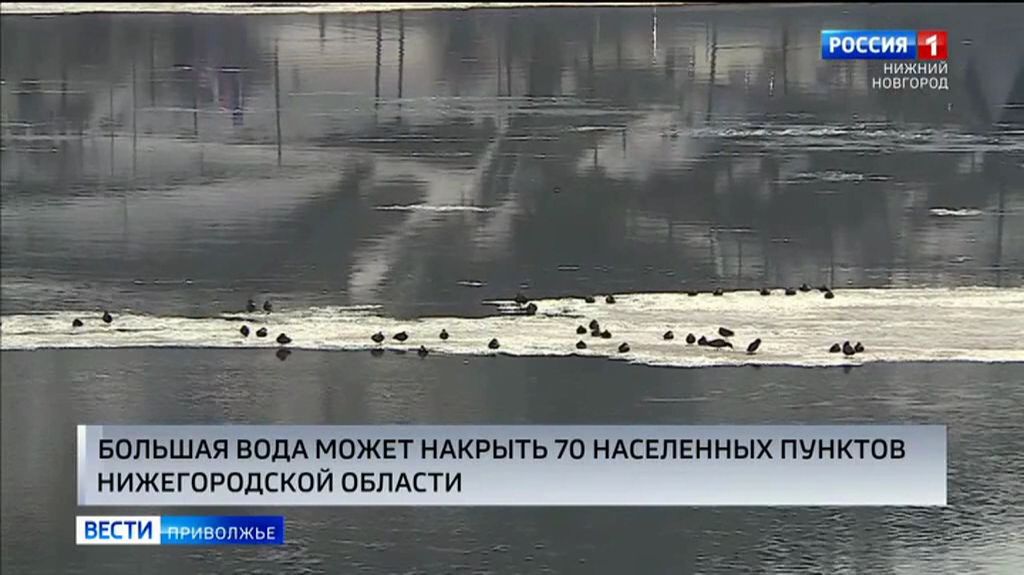 Большая вода идет: прогноз от МЧС России