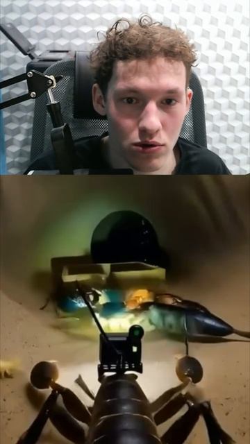 СКОРПИОН 🦂