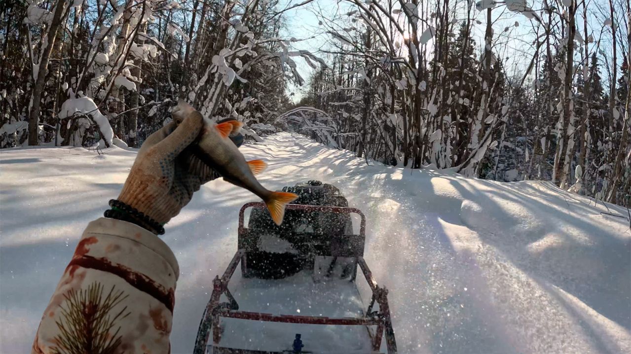 Балансир сделал рыбалку! Озеро в марте 2026! Ловля окуня на балансир!