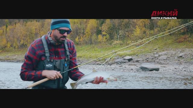 Осень на реке Поной.