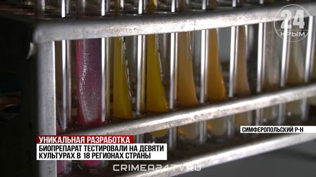 Крымские учёные создали биопрепарат, защищающий урожай от нескольких видов грибка