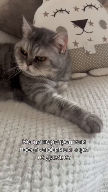 От наших любимых покупателей! Присылайте нам свои видео! #AmiGold