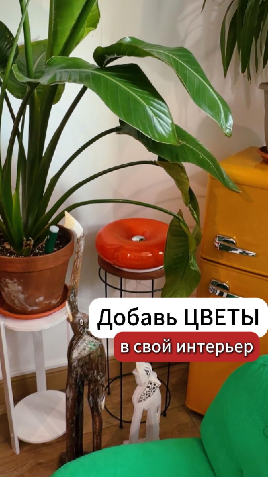 СЕКРЕТ УЮТНОЙ КВАРТИРЫ, О КОТОРОМ ВСЕ ЗАБЫВАЮТ