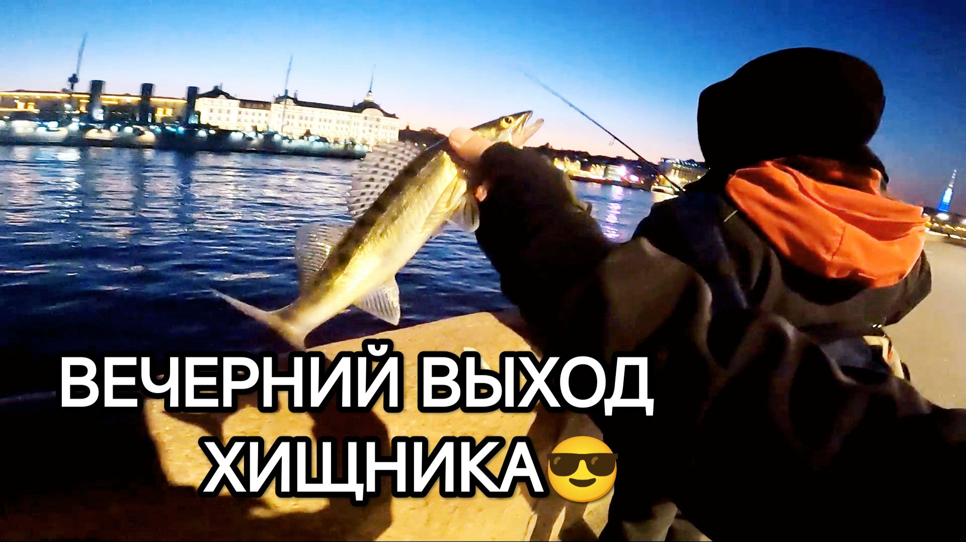 ВЕЧЕРНИЙ КЛЕВ ХИЩНИКА ✅ #спиннинг