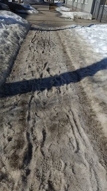 №1883 ул. Газеты Звезда. 24 марта 2026 г., 15:16:29 VID_20260324_151541144