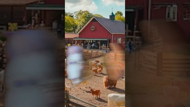 Оооочень странная семейка  🤣