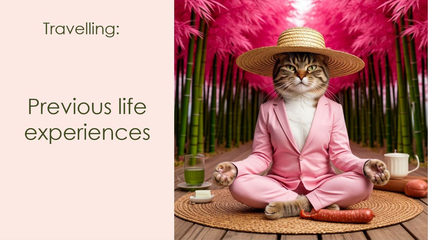Story # 289 : Travelling : Previous life experiences