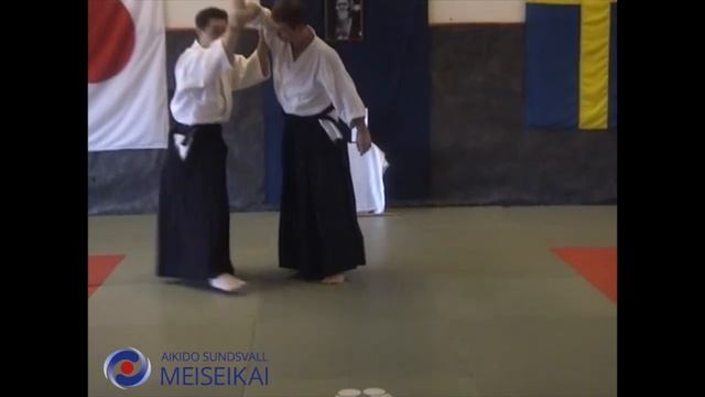 5.Aikido Ai Hanmi Ikkyo Omote7 Shishiya Sensei, Sundsvall unknown year