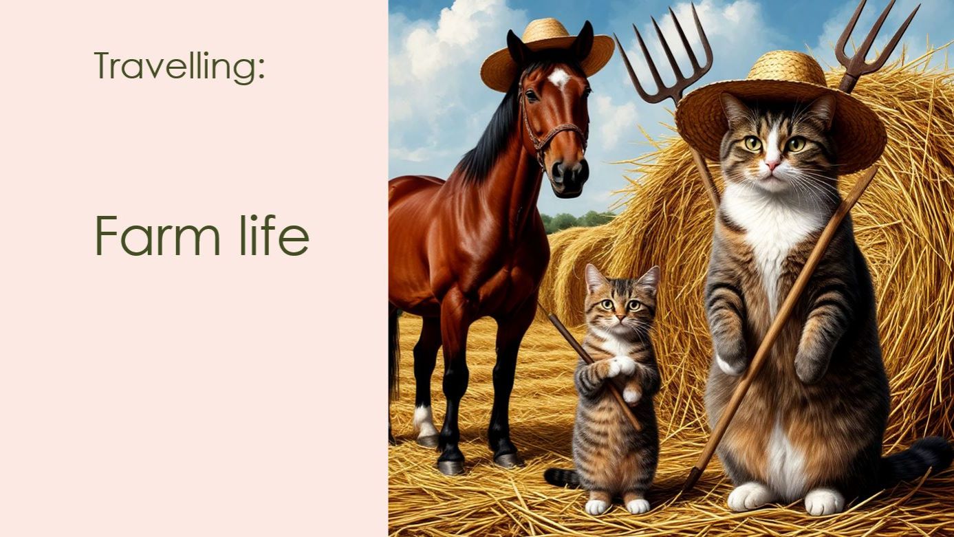 Story # 292 : Travelling : Farm life