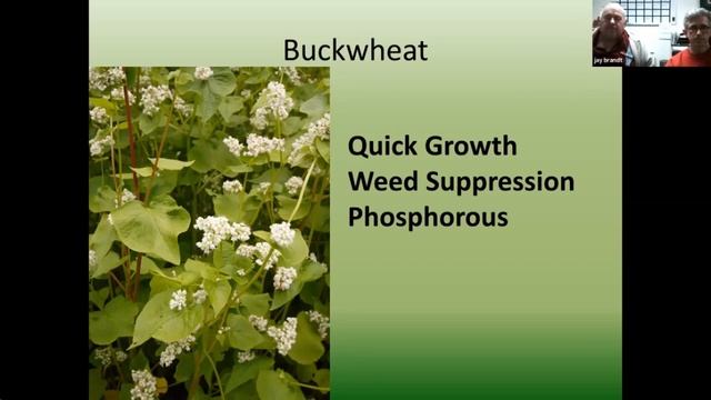 Покровные культуры 3 из 4  Крестоцветные и широколистные культуры с Шейном Мейером, Джеем и Дэйвом