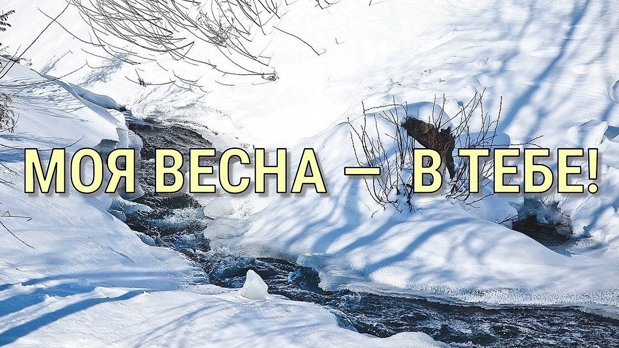 МОЯ ВЕСНА — В ТЕБЕ! Читает В.Антонов  (2k_2026)