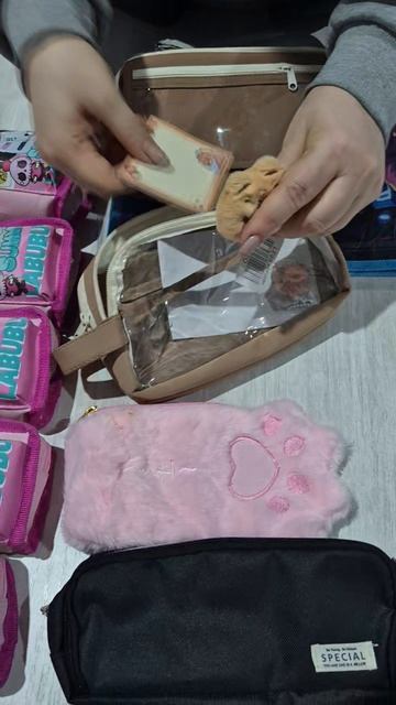 сти310. Пеналы