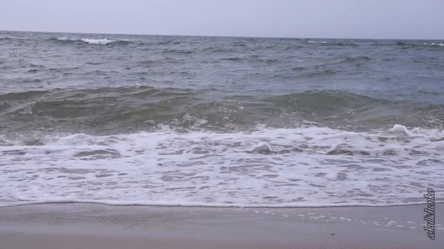 ПРОГУЛКИ ПО ПАРКУ И НЕ ТОЛЬКО. День восьмой.