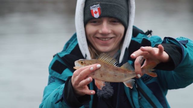 "СНАСТИ У НАСТИ" Шикарный улов разнорыбицы на Москве - реке