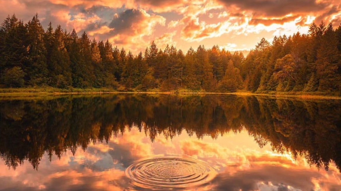 Dj SLONGO - Poeira Cósmica