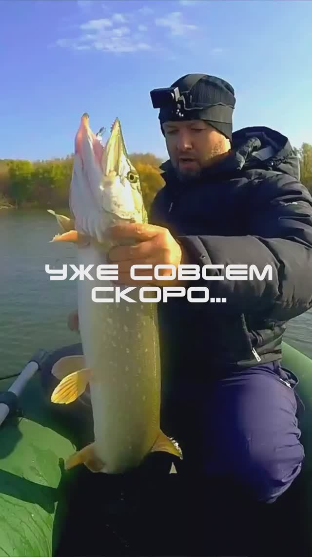 Жена, готовь нервы: я ухожу в лето. Осталось совсем чуть-чуть потерпеть...🎣☀️#летняярыбалка