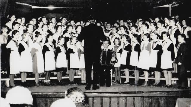 Мне снилась жизнь...