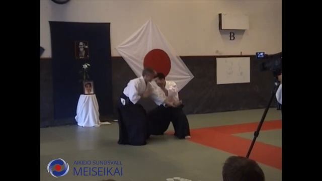 10.Aikido Gyaku Hanmi Ikkyo Ura Shishiya Sensei, Sundsvall unknown year