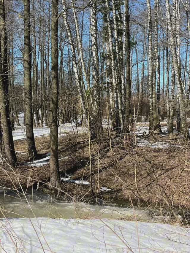 Согревающий душу март