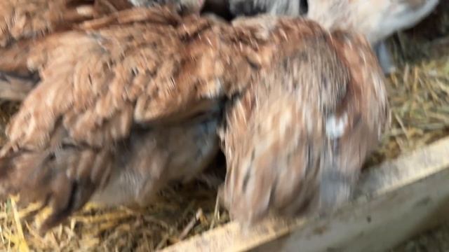 26 марта Легкий перекус