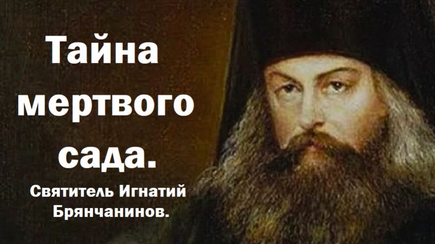 Мы не удивляемся этому чуду только по привычке. Святитель Игнатий Брянчанинов.